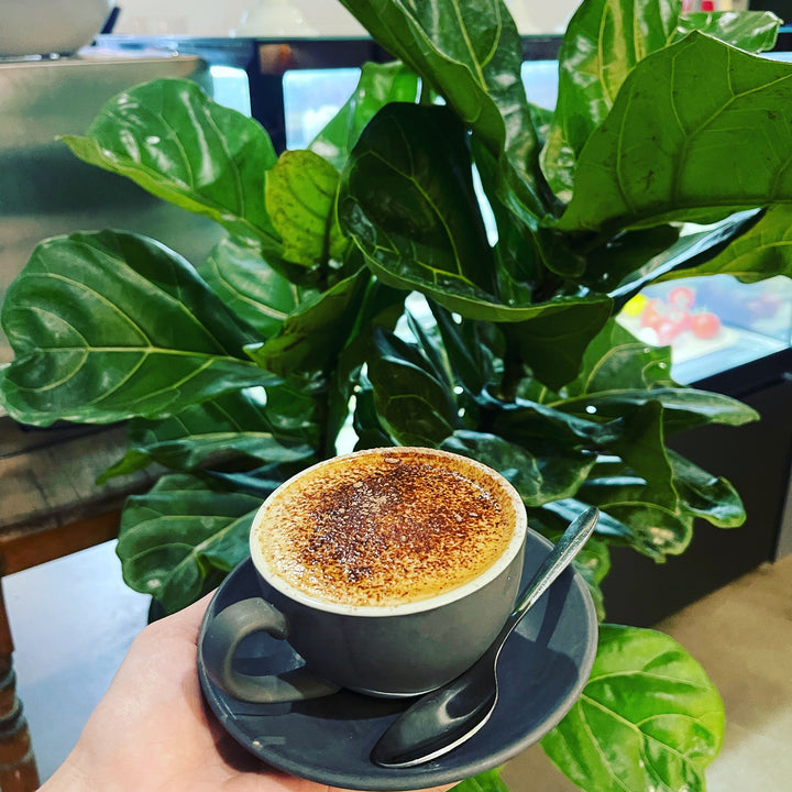 Botanical Style Townsville