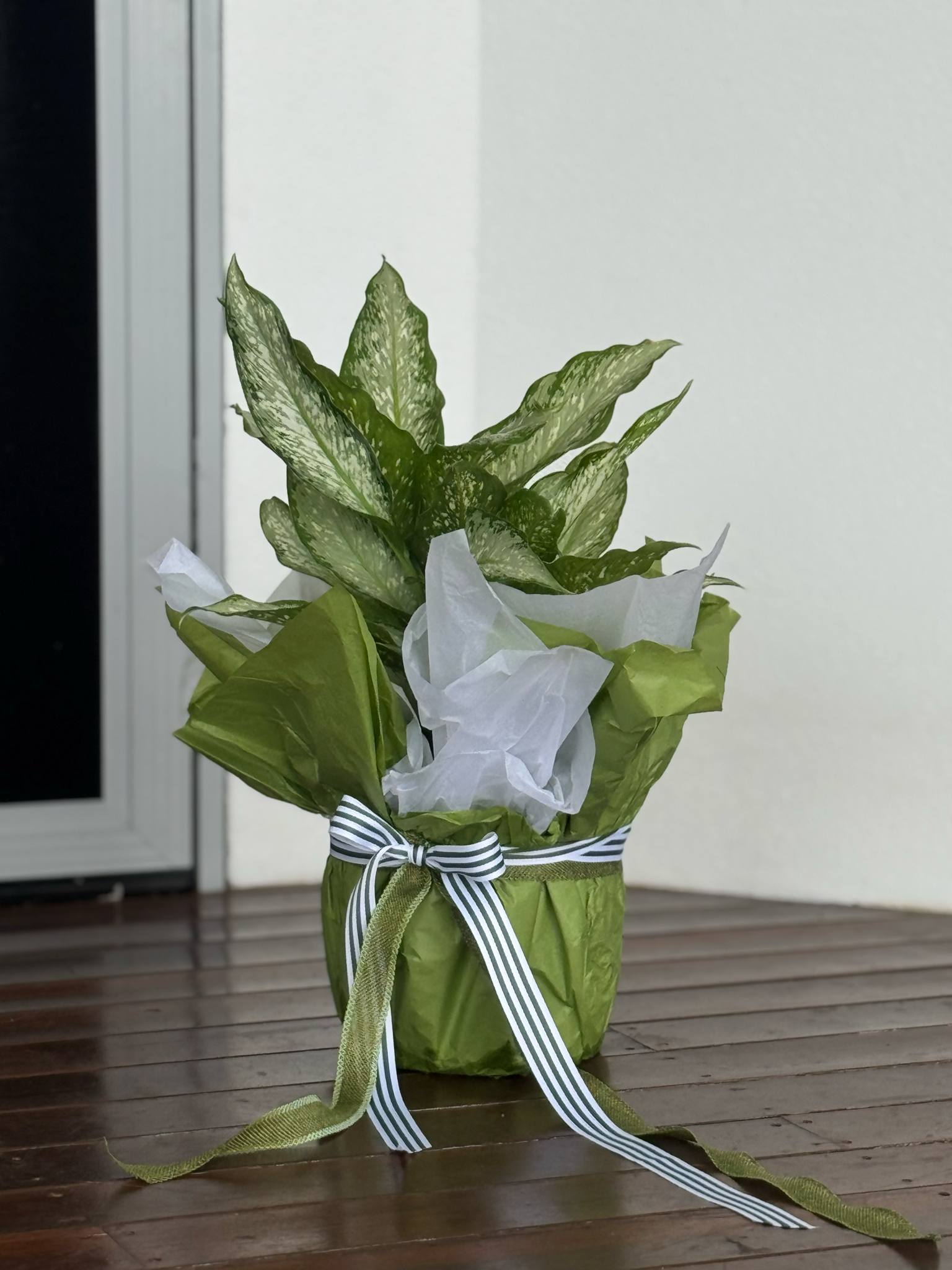 Indoor Plant & Gift Basket Delivery – Botanical Style